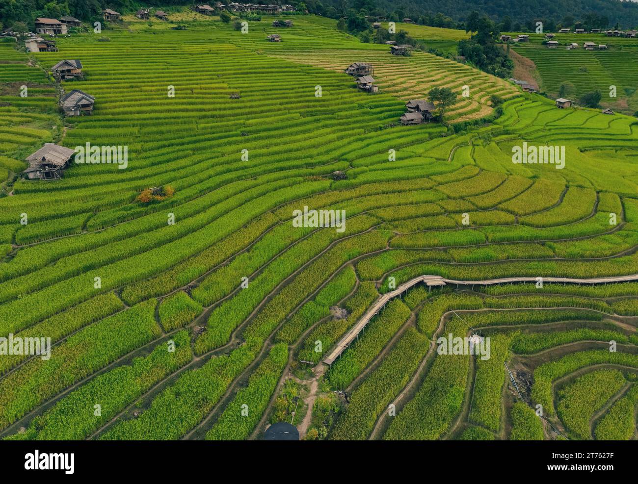 Landscape of green rice terraces amidst mountain agriculture. Travel ...
