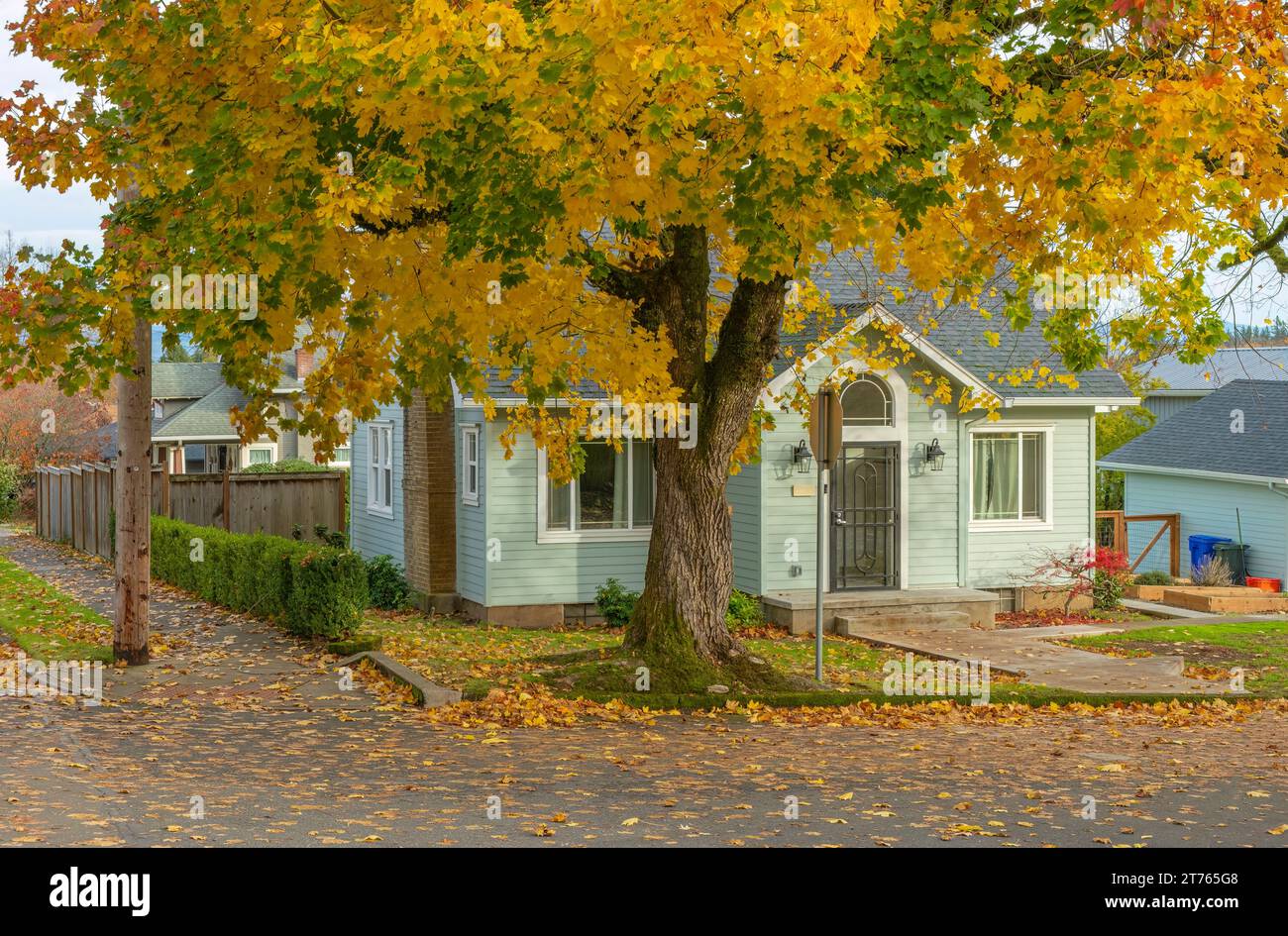 Fall trees in family neighborhood hi-res stock photography and images - Alamy