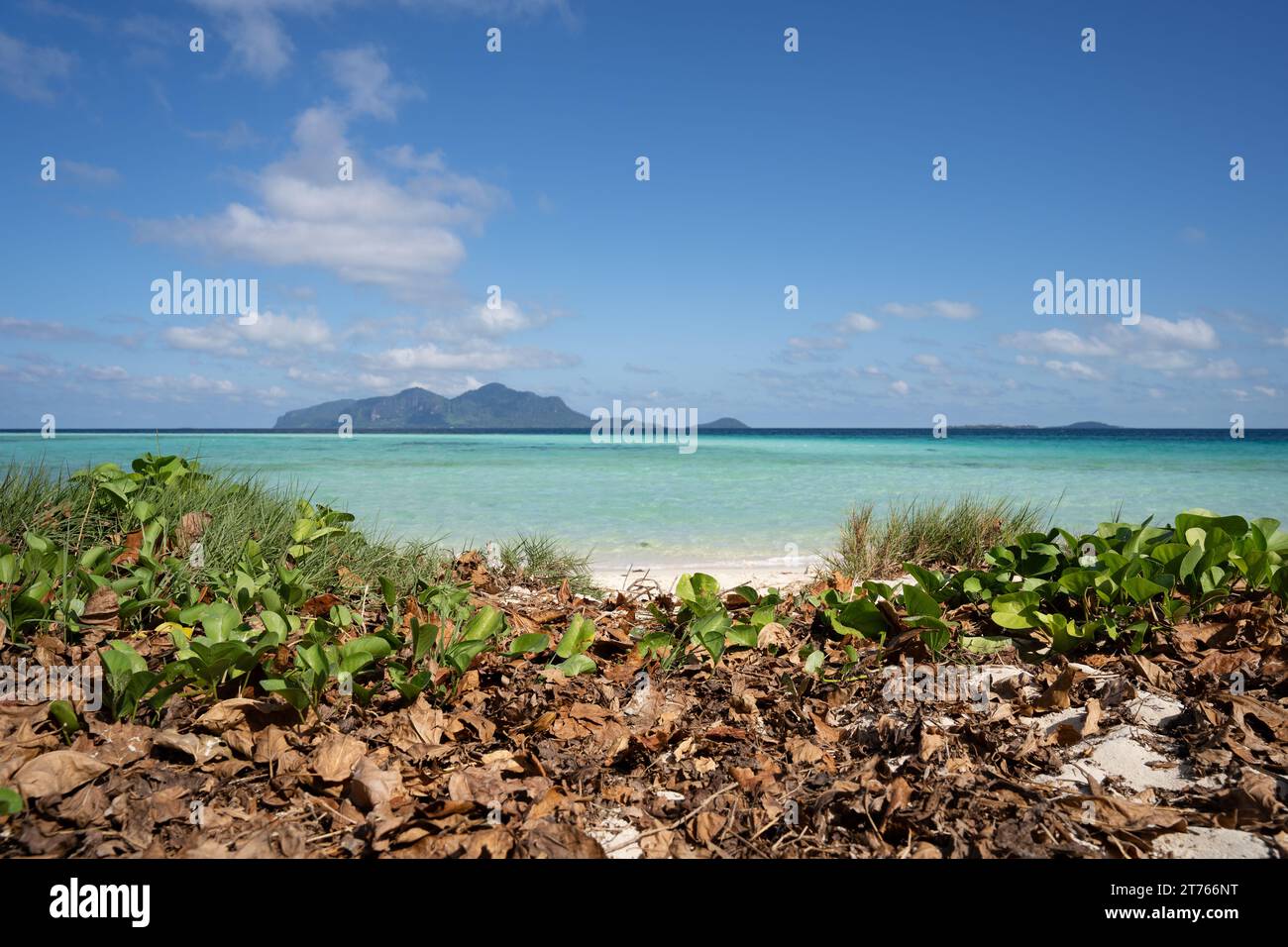 Sunny seascape exotic shore beach hi-res stock photography and images ...