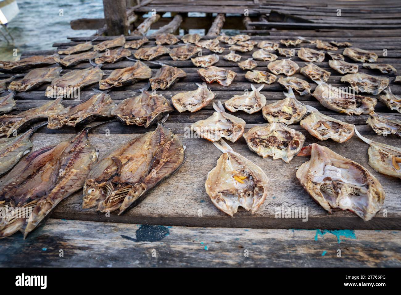 Seafood Processing in Traditional Fishing Village Stock Photo - Alamy