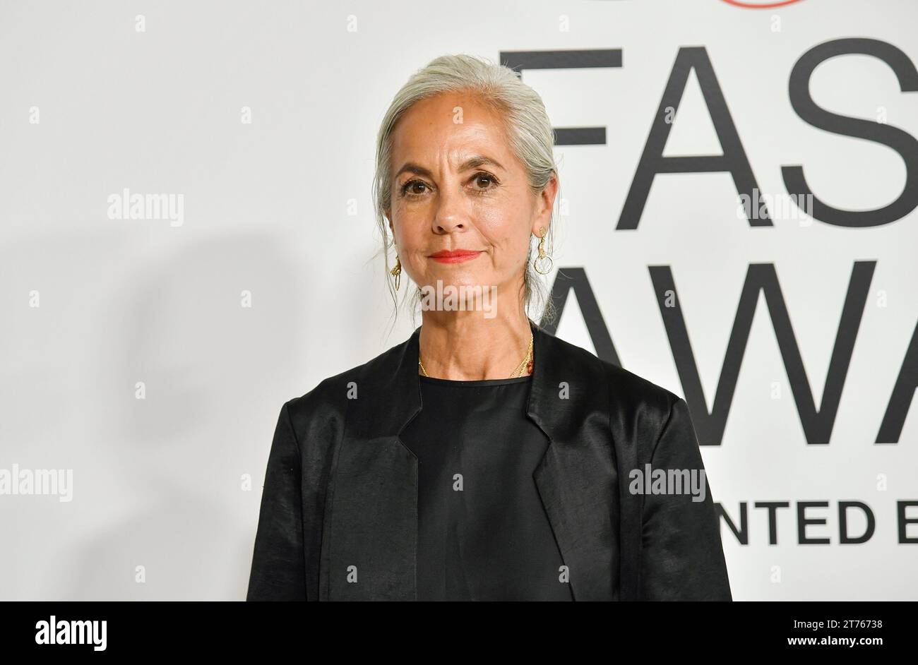 Maria Cornejo attends the CFDA Fashion Awards at the American Museum of ...
