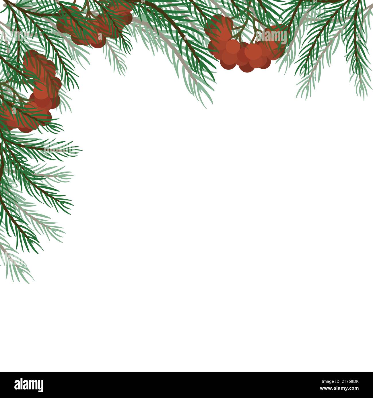 Border of pine and spruce branches with rowan berries for the design of ...