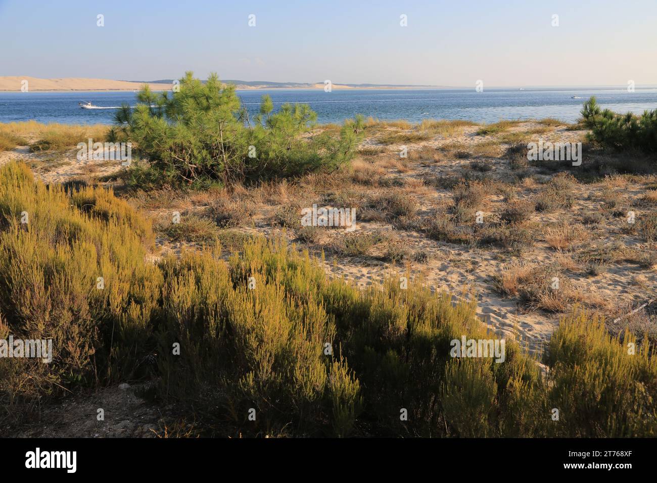 The Pointe du Cap Ferret separates the Atlantic Ocean and the Arcachon ...