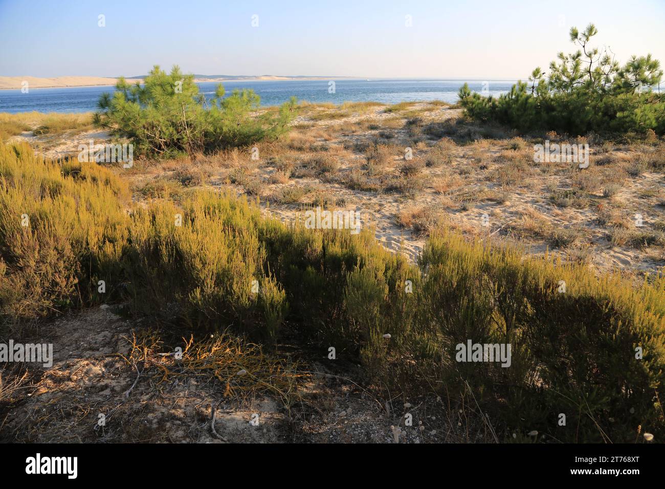 Pointe du cap ferret hi-res stock photography and images - Alamy