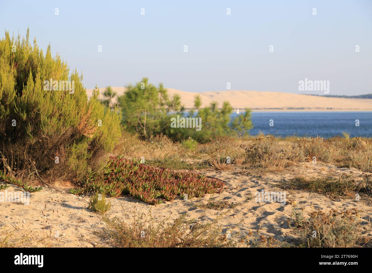 The Pointe du Cap Ferret separates the Atlantic Ocean and the Arcachon ...