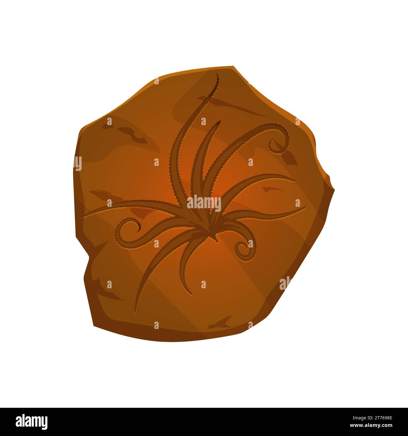 Ancient Fossil Plant Imprint In Stone Extinct Plant Archaeological
