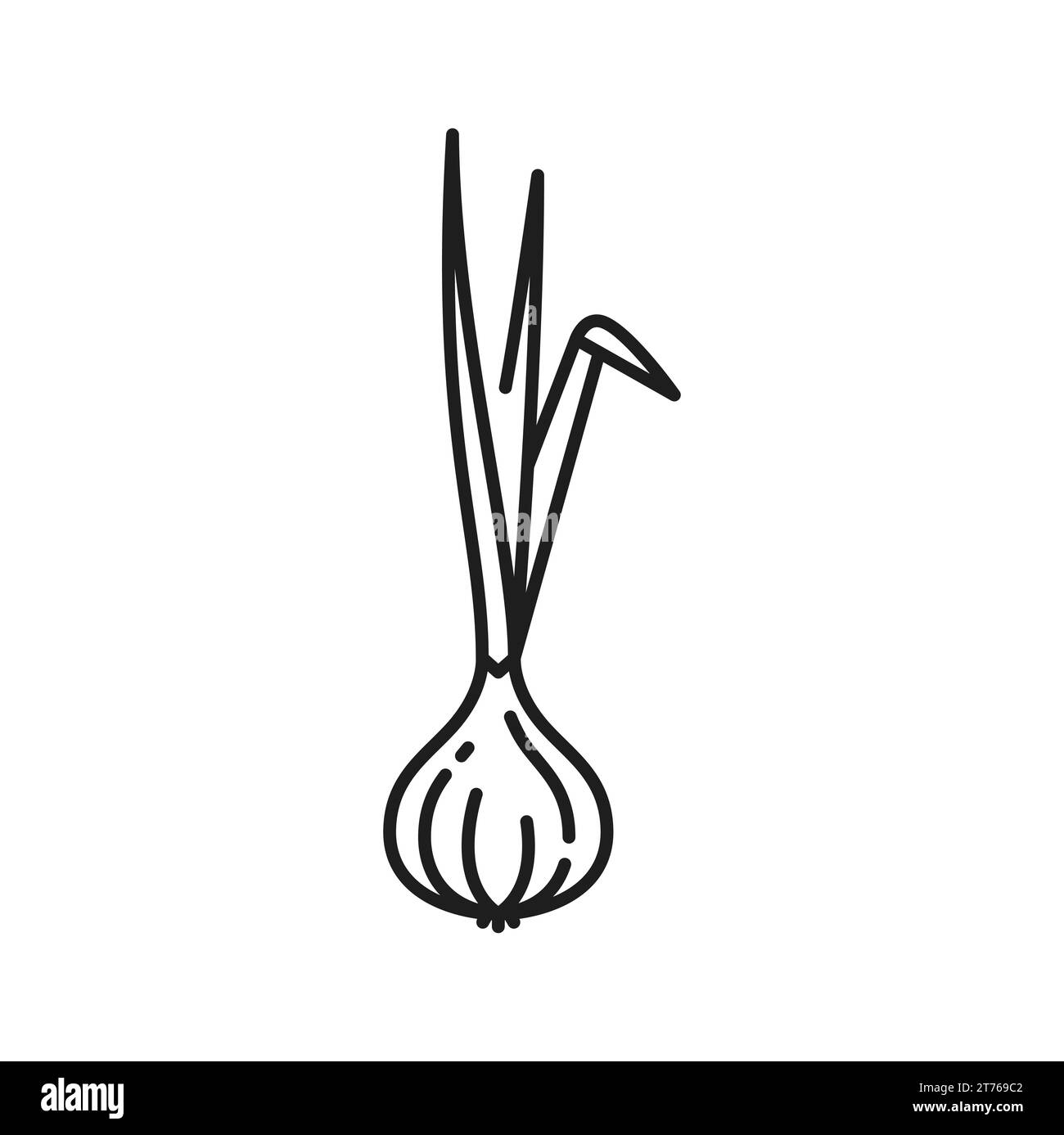 Onion root vegetable with leaves, isolated thin line icon. Vector whole ...