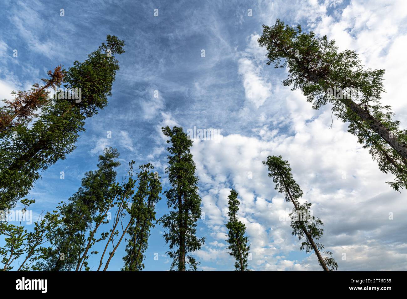 China fuzhou fujian hi-res stock photography and images - Alamy