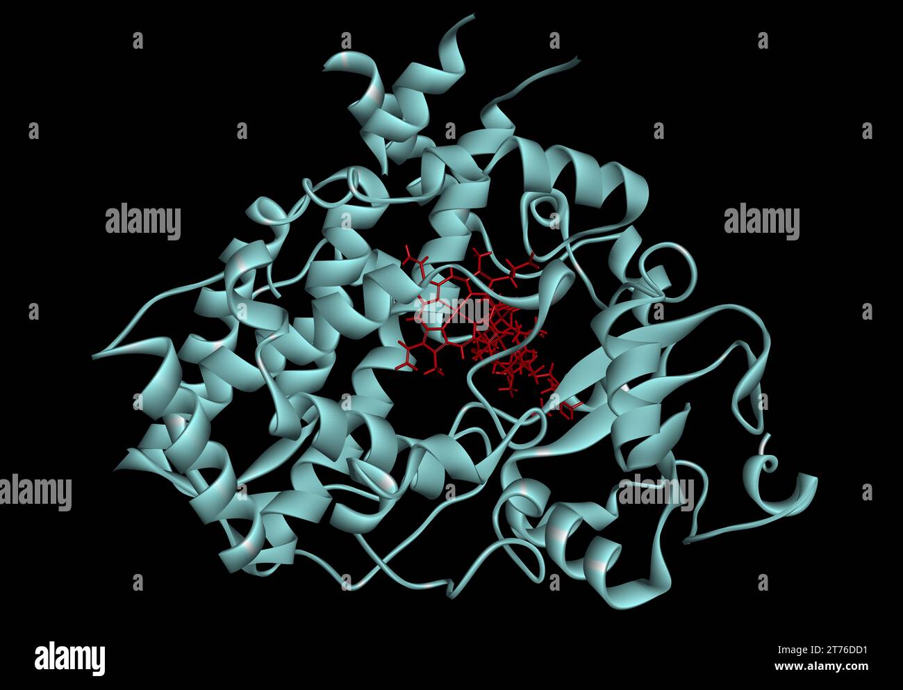 Cytochrome P450 molecule. CYP 3A4 is the most promiscuous of the human ...