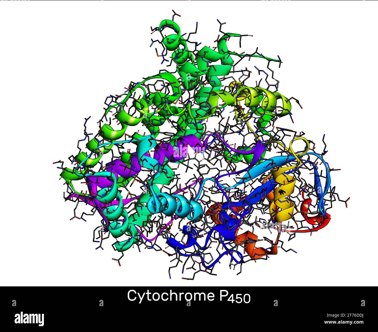 Cytochrome hi-res stock photography and images - Alamy