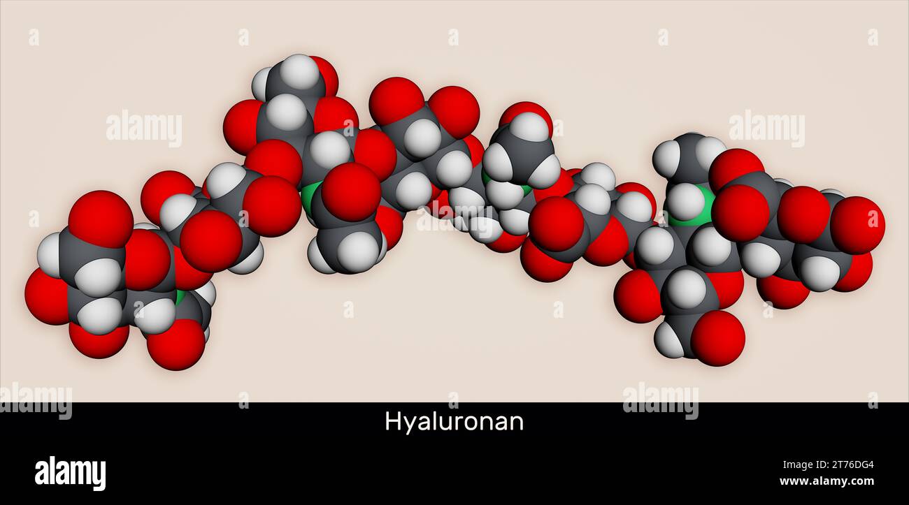 Hyaluronan, hyaluronic acid, HA, hyaluronate molecule, short fragment ...