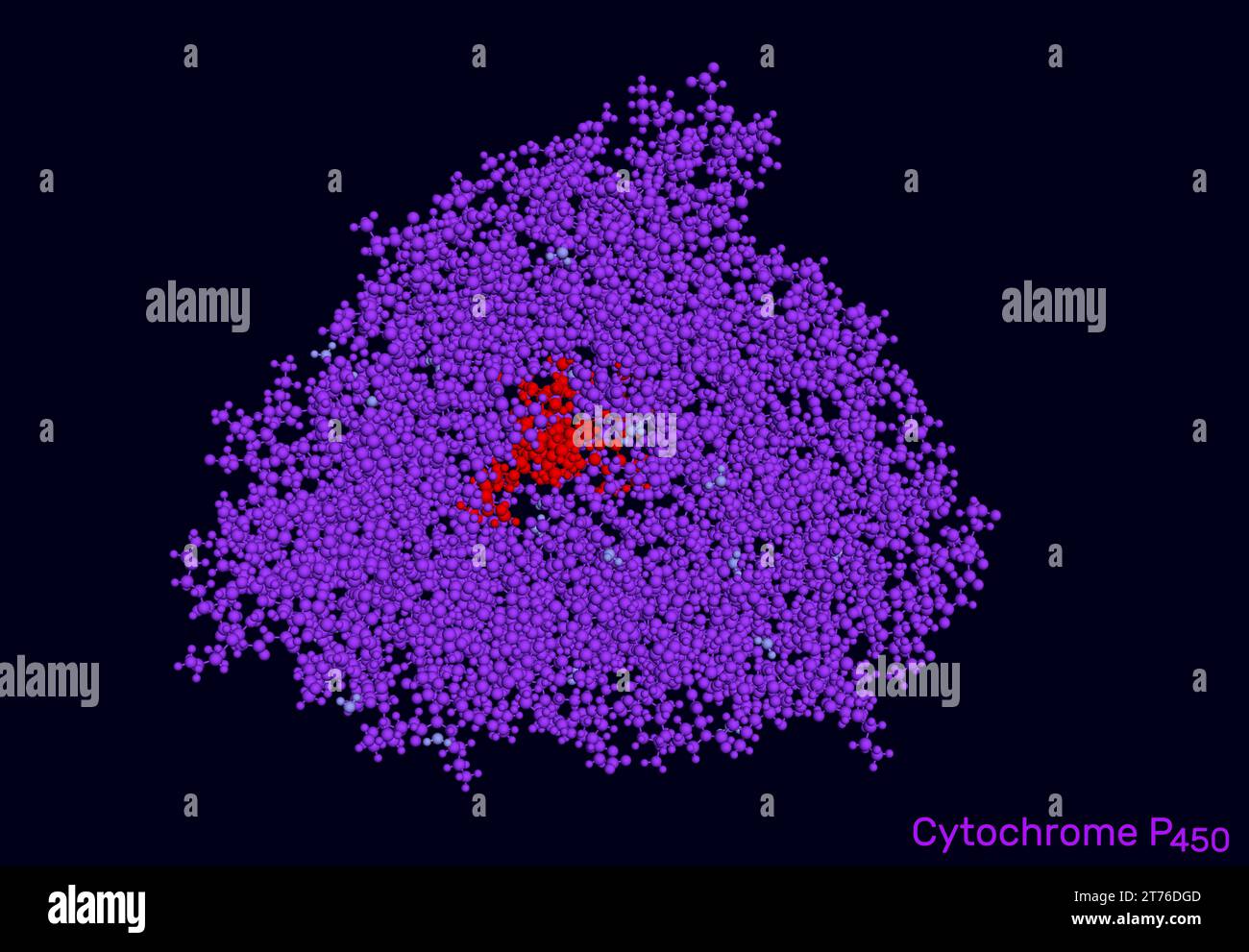Cytochrome hi-res stock photography and images - Alamy