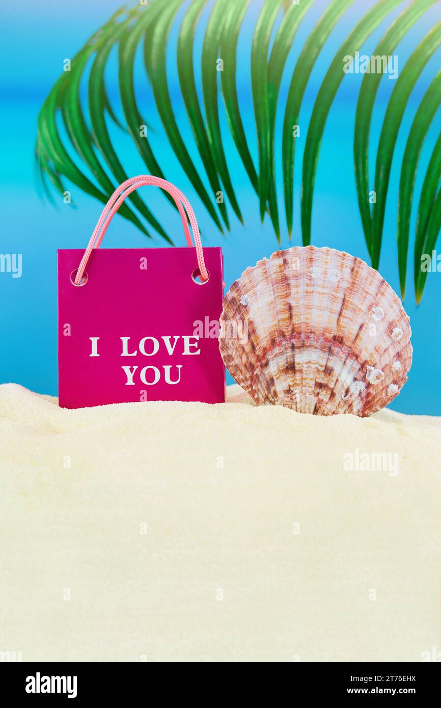 Pink conch hi-res stock photography and images - Alamy