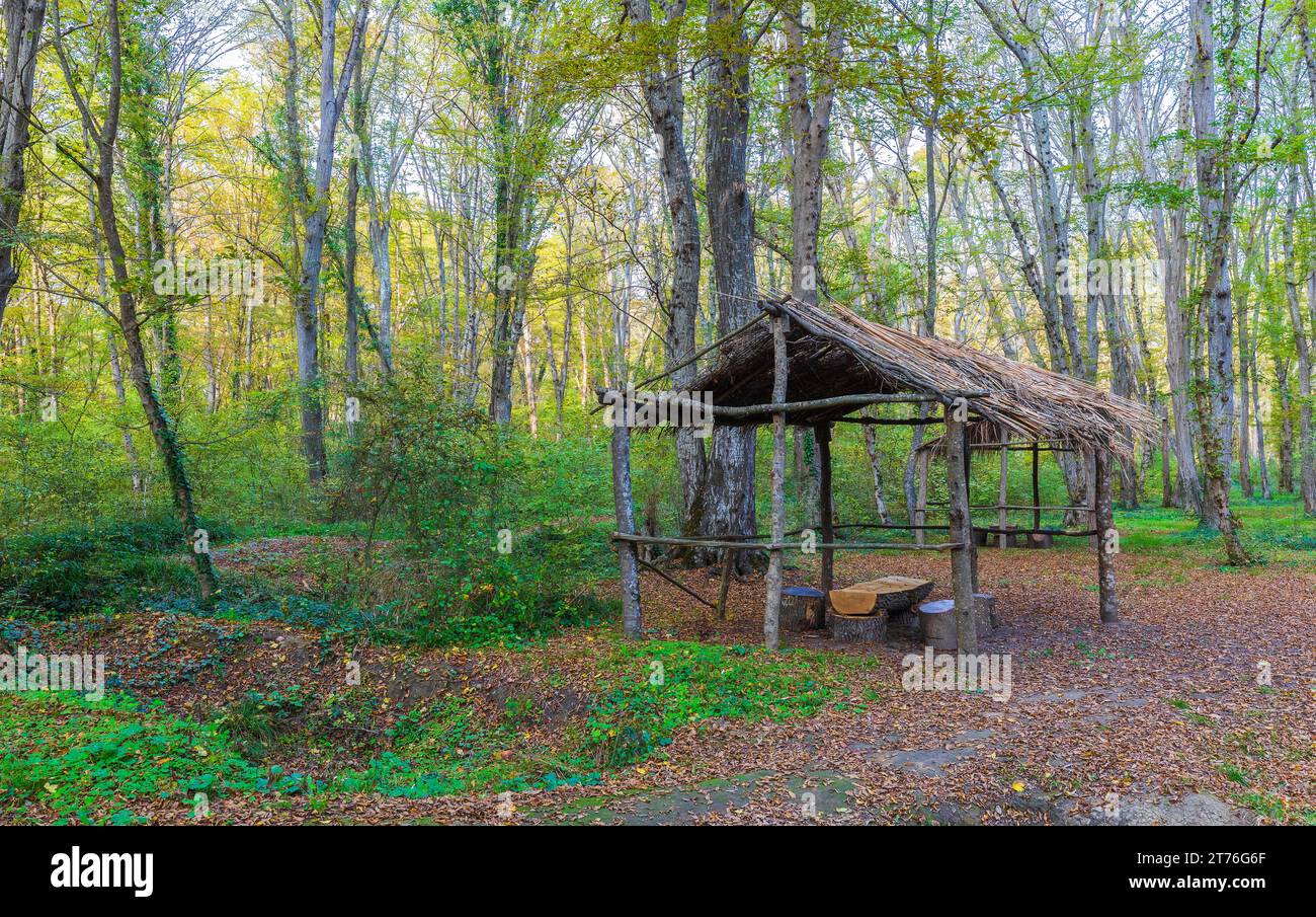 Gazebo and table, chairs from tree trunks in the forest. Picnic area ...