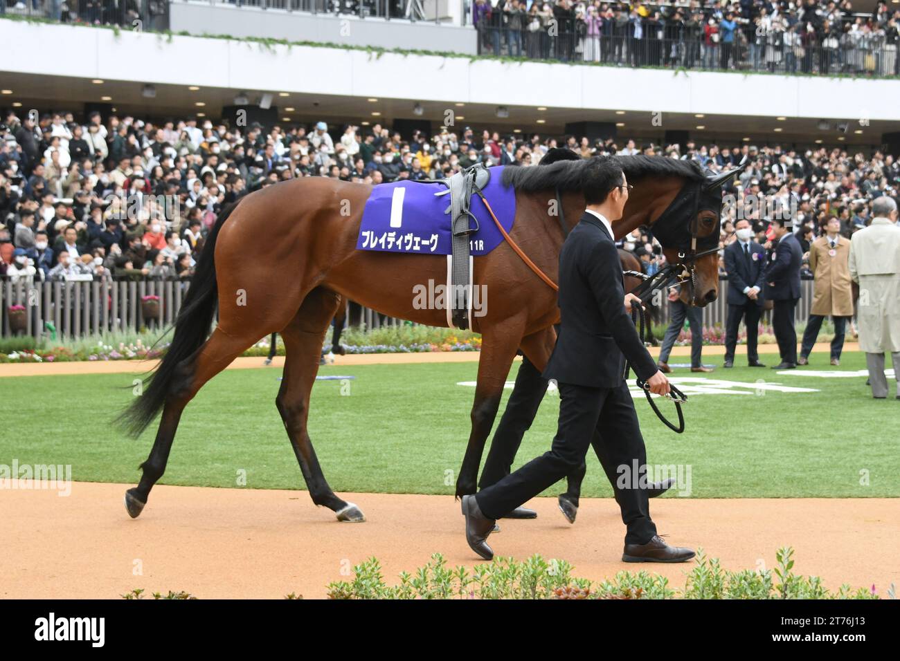 Kyoto, Japan. 12th Nov, 2023. Brede Weg is led through the paddock ...