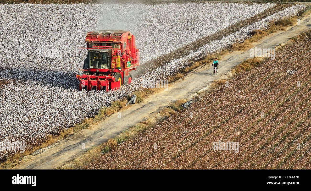 Urumqi. 22nd Oct, 2023. This aerial photo taken on Oct. 22, 2023 shows ...