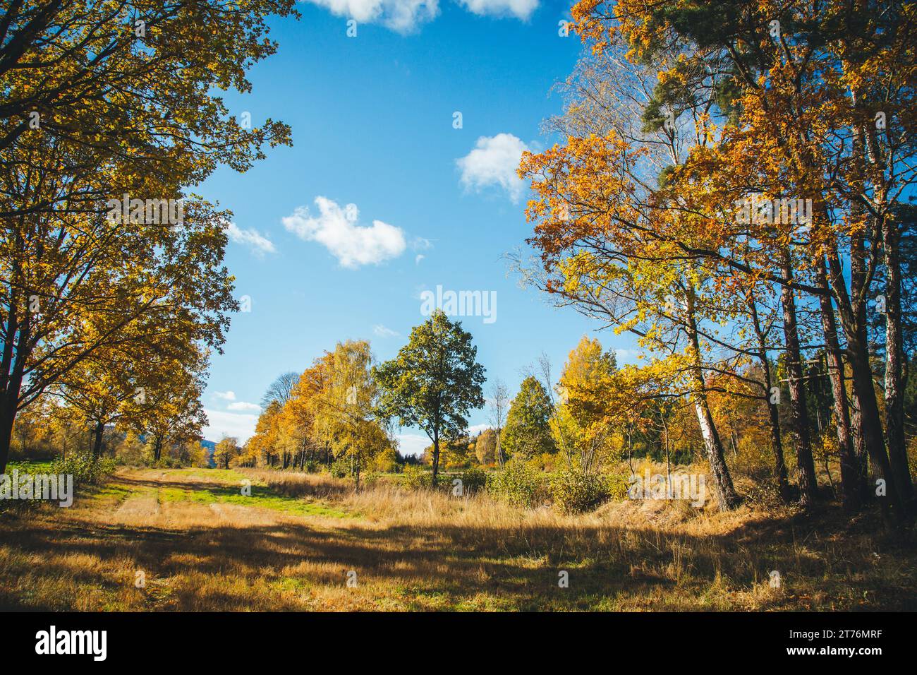 Idyllic landscape meadows trees hi-res stock photography and images - Alamy