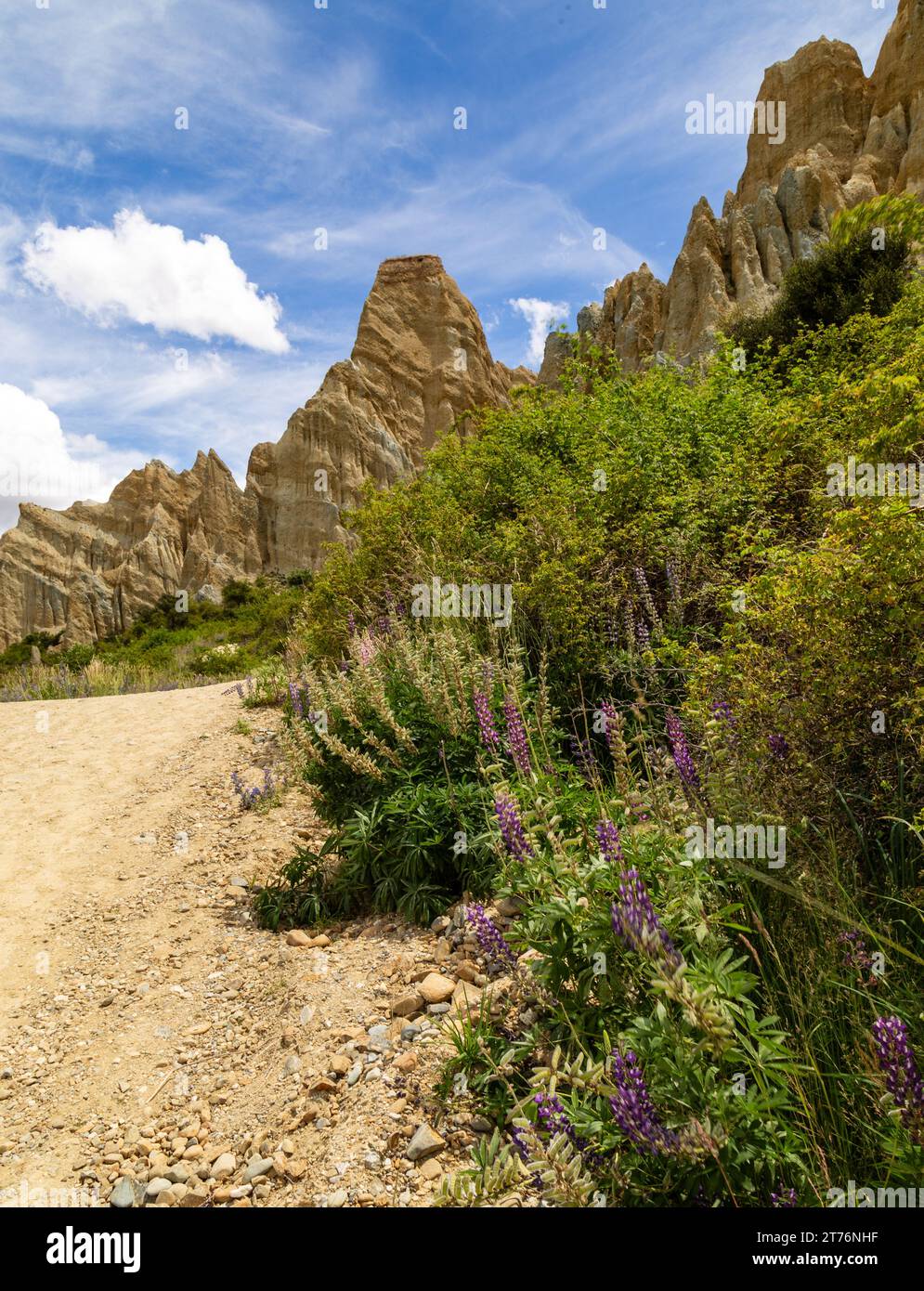 The Clay Cliffs in Omarama were formed over millions of years by ...