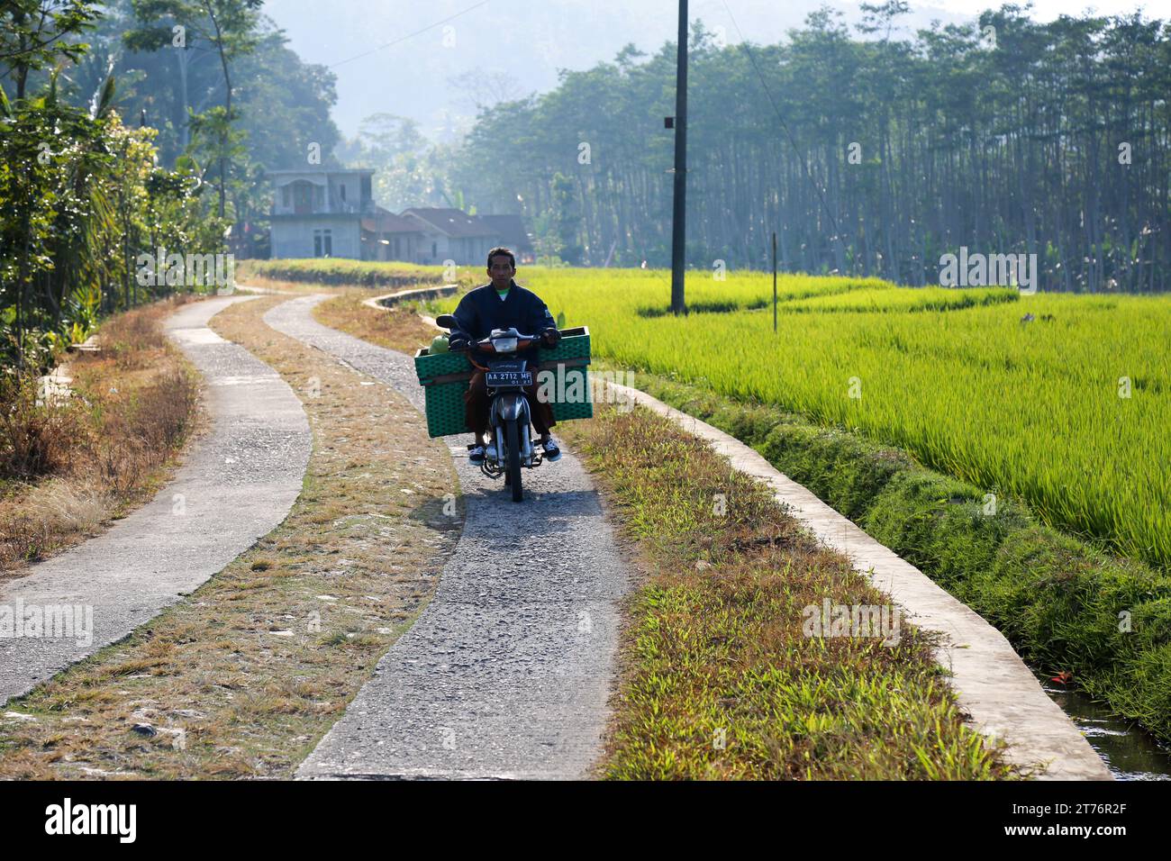 Riding through market hi-res stock photography and images - Alamy