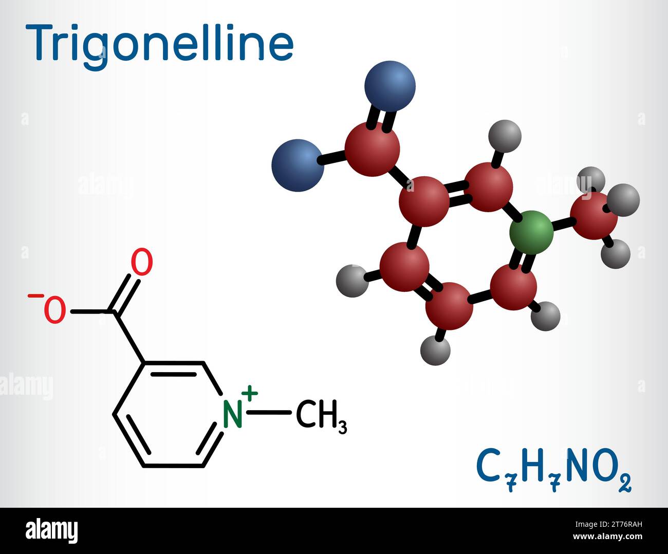 Trigonelline plant alkaloid molecule. It is methylation product of ...