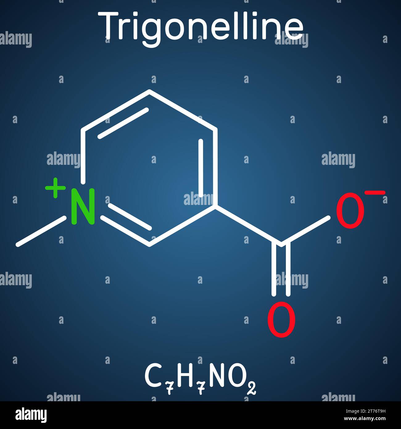 Trigonelline plant alkaloid molecule. It is methylation product of ...