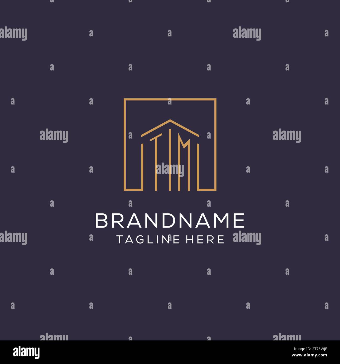 Initial TM logo with square lines, luxury and elegant real estate logo ...