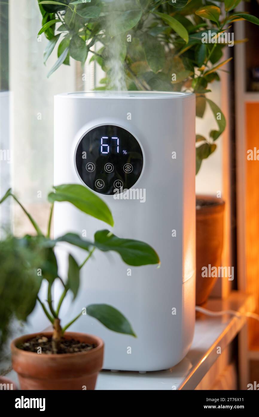 Ultrasonic humidifier with sensor on windowsill and potted houseplants ...