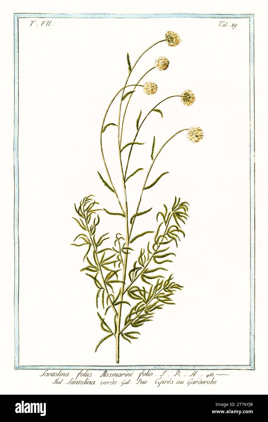 Ancient rome painting garden Cut Out Stock Images & Pictures - Alamy