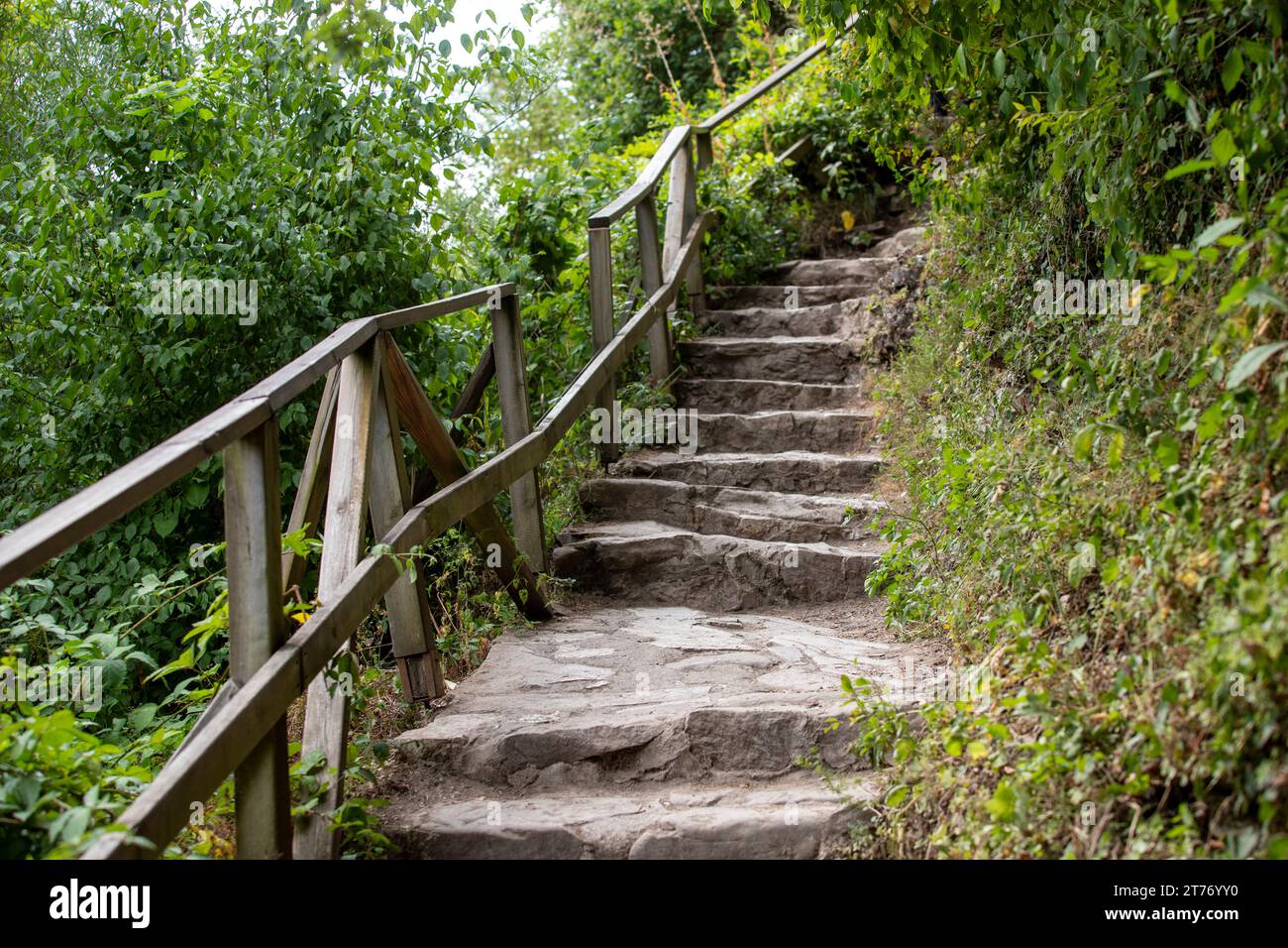 Stone paved walking path in the forest. Peaceful walking path in the ...