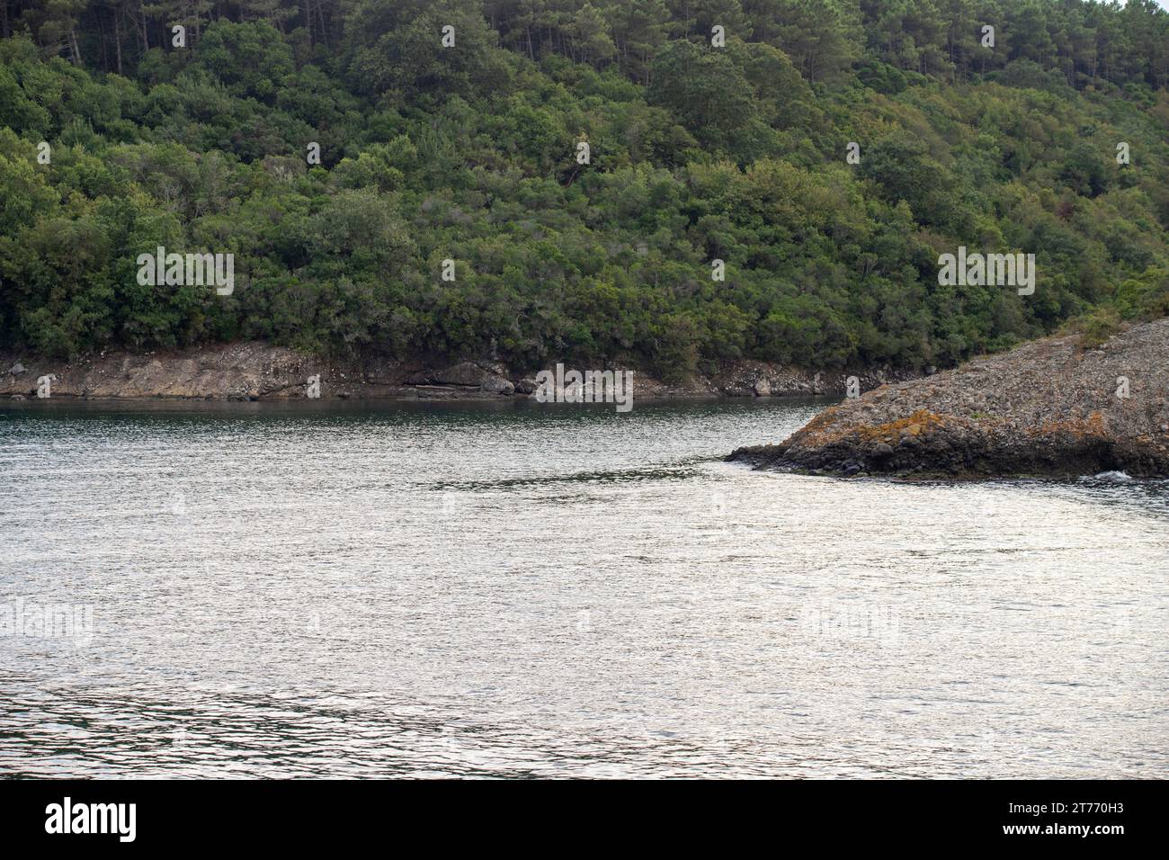 Sinop hamsilos bay. Turkey Tourist places. North Turkey travel ...