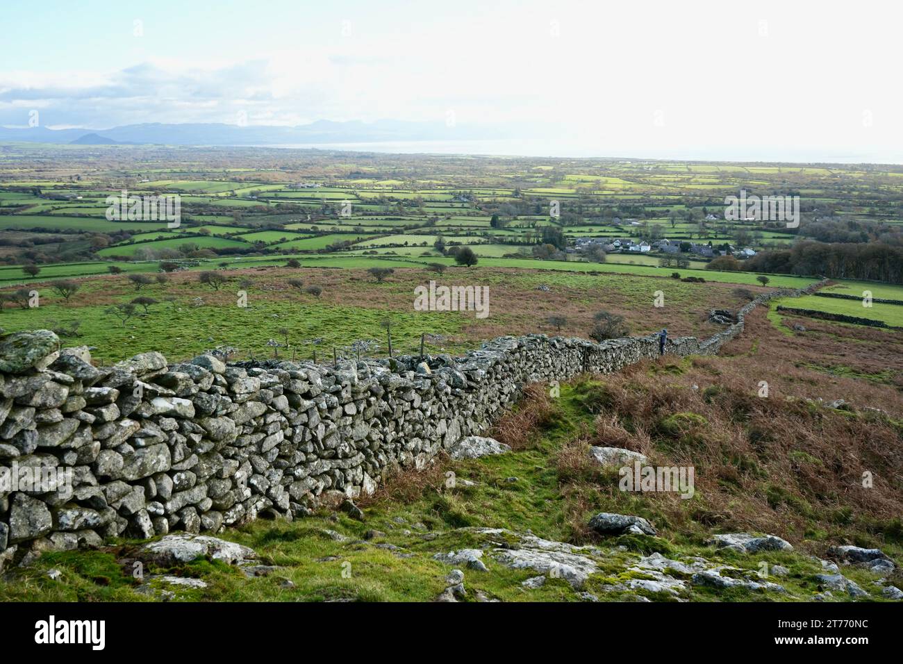 View of The Welsh Countryside with traditional stone walls close to ...