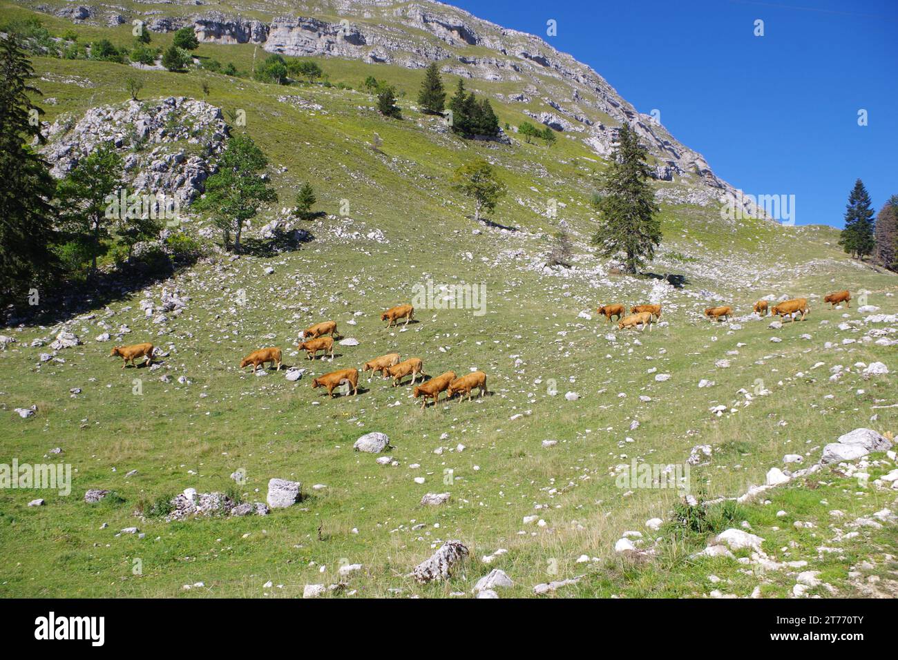 Views approaching La Dôle, Jura Mountains, Switzerland Stock Photo - Alamy