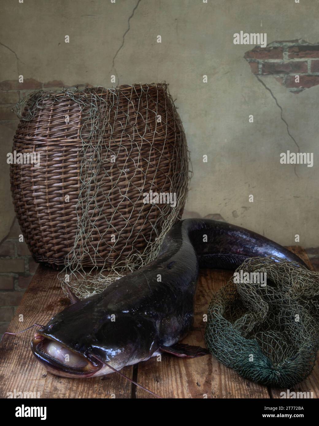 Still life with fish Stock Photo - Alamy
