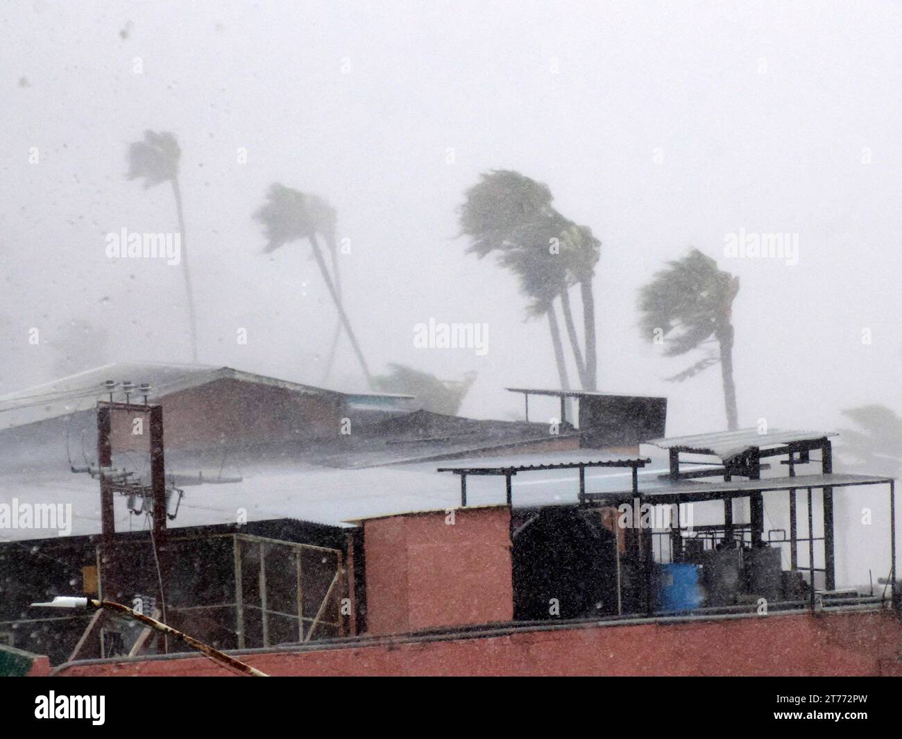 Strong wind during The effects of Hurricane Norma October 2023 La Paz ...