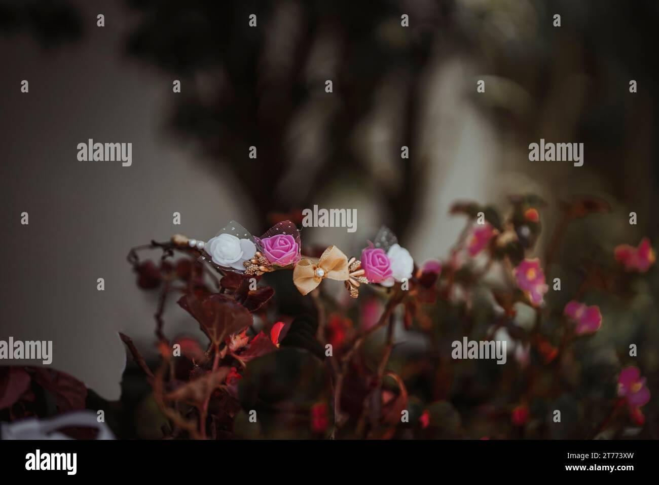 Baptismfavor hi-res stock photography and images - Alamy