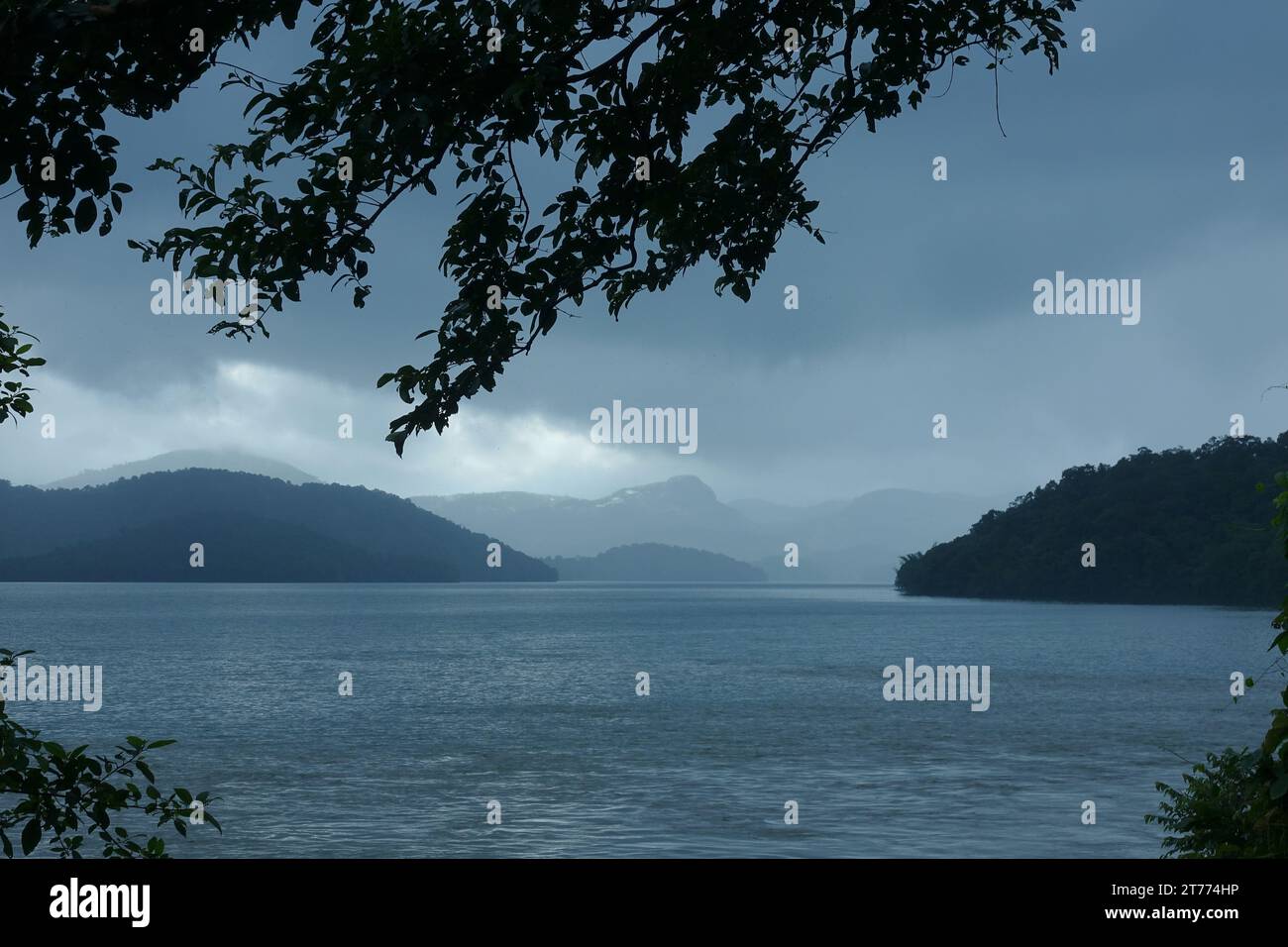 GREEN NATURE WATER LAND Stock Photo - Alamy