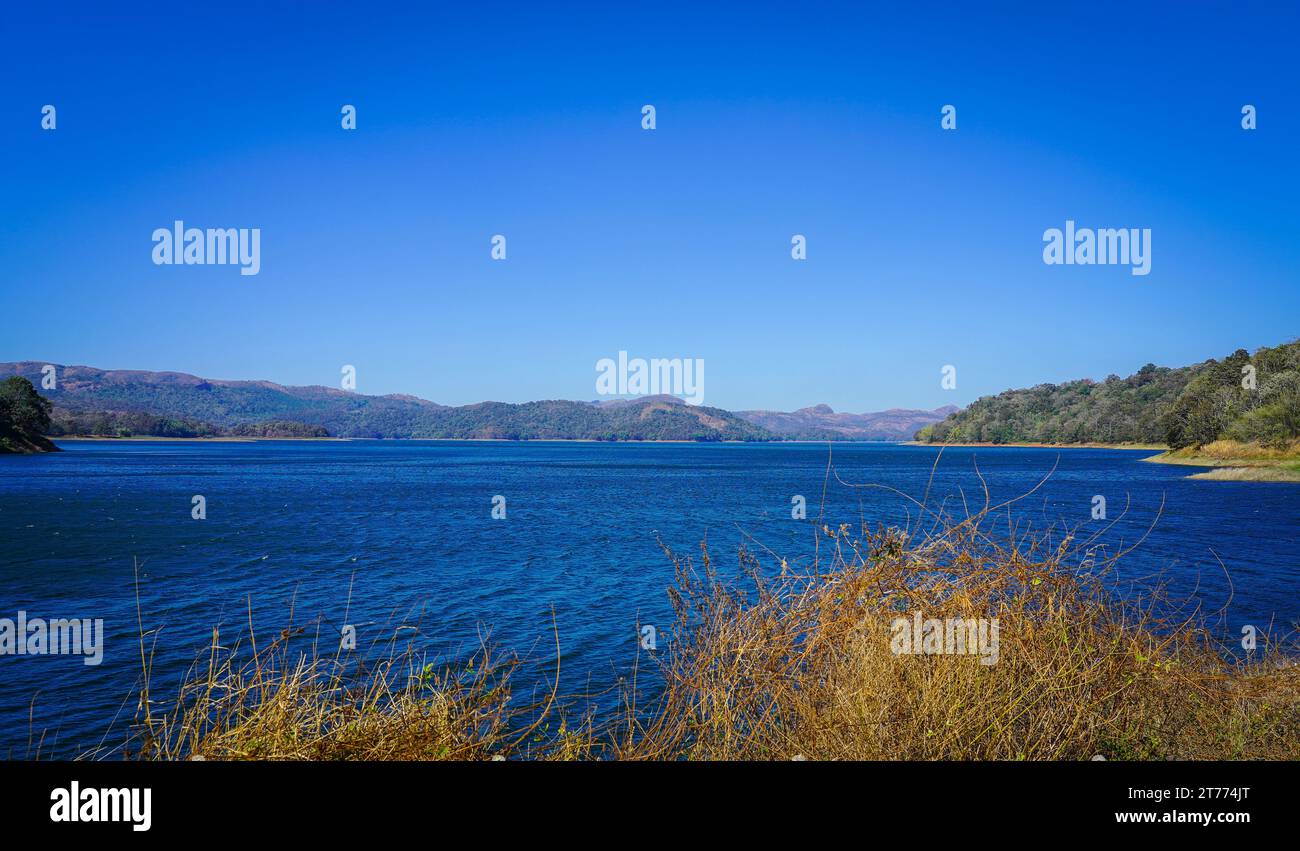 GREEN NATURE WATER LAND Stock Photo - Alamy