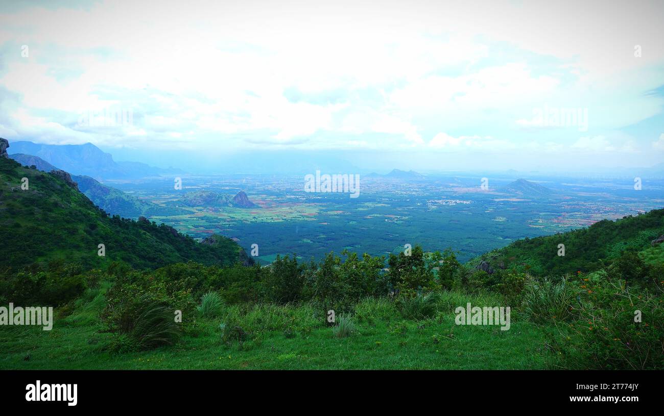 GREEN NATURE WATER LAND Stock Photo - Alamy