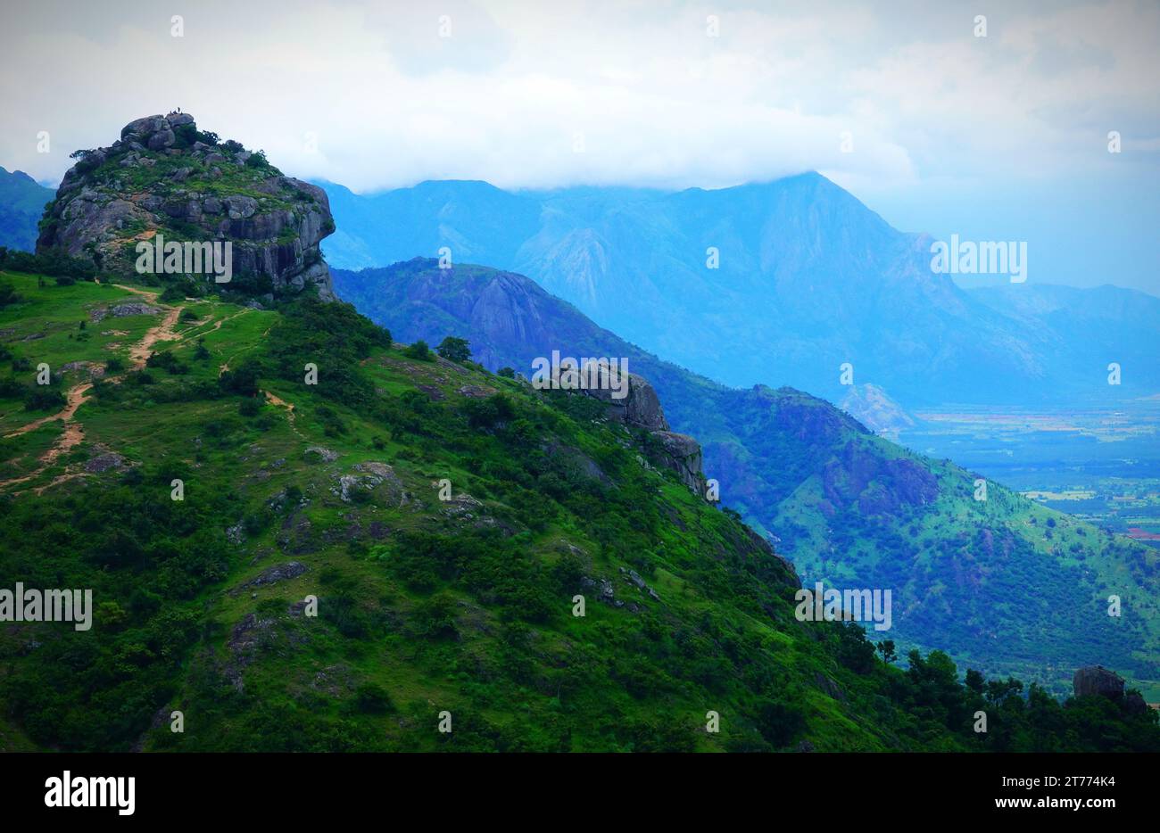 GREEN NATURE WATER LAND Stock Photo - Alamy