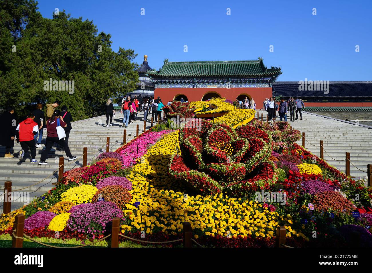 (231114) -- BEIJING, Nov. 14, 2023 (Xinhua) -- This photo taken on Oct ...