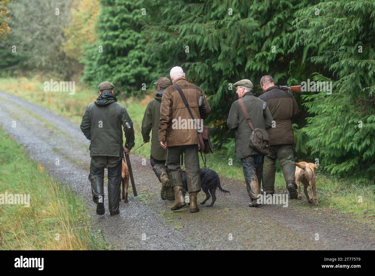 shooting party with guns and dogs Stock Photo - Alamy