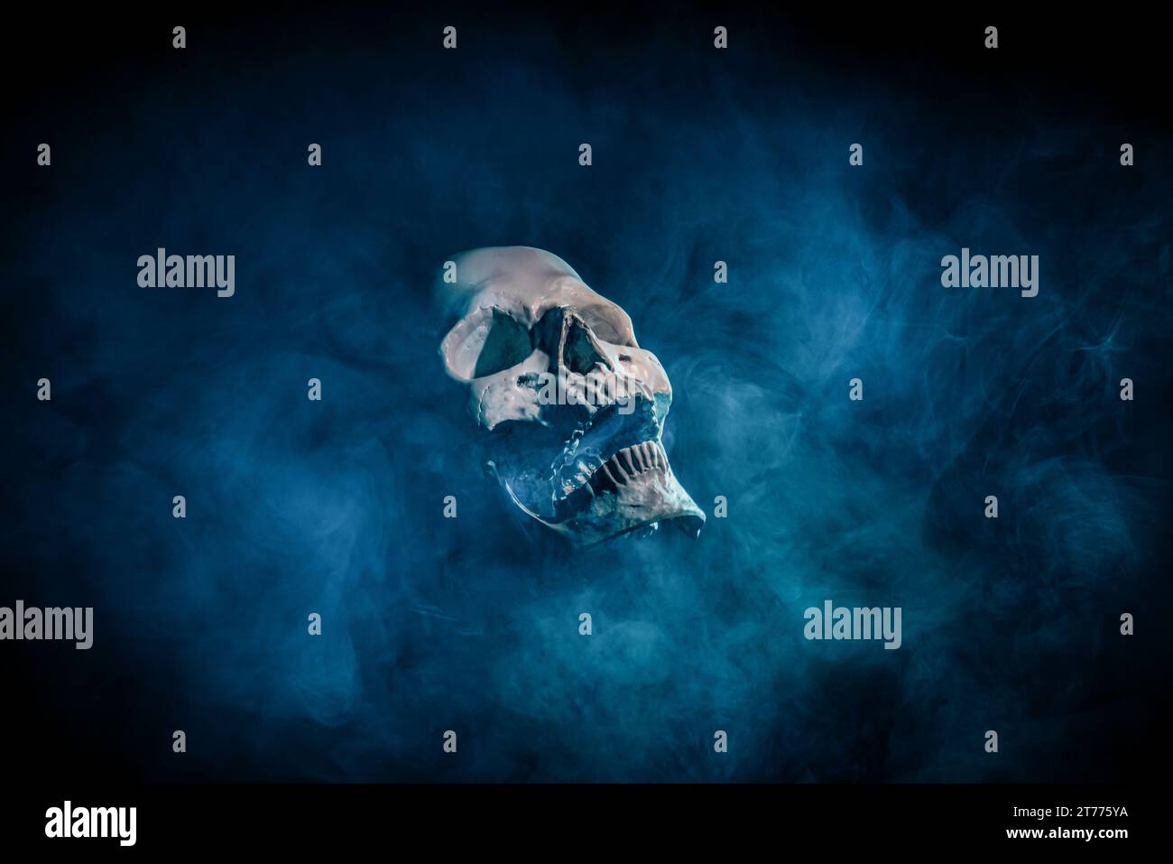 An individual peacefully floating in the water, with a white human ...