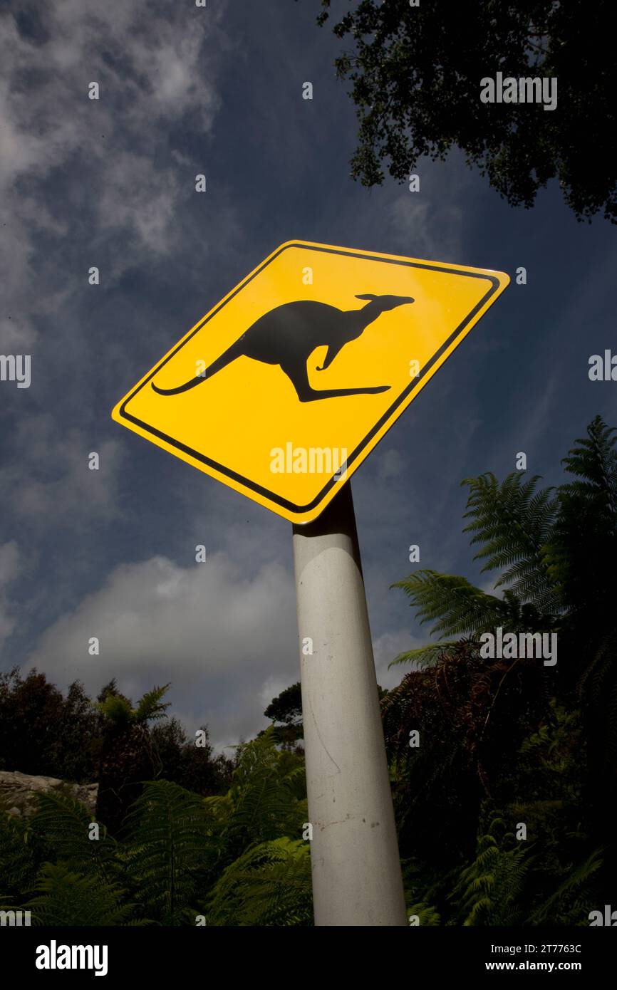 Kangaroo crossing sign Stock Photo - Alamy