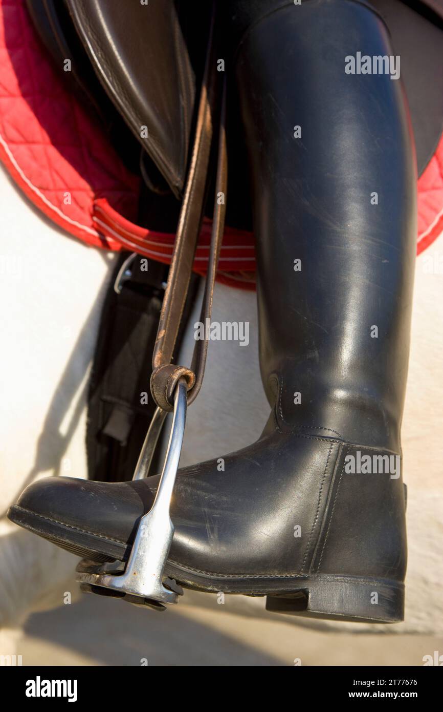Horse legs close up boots hi-res stock photography and images - Alamy