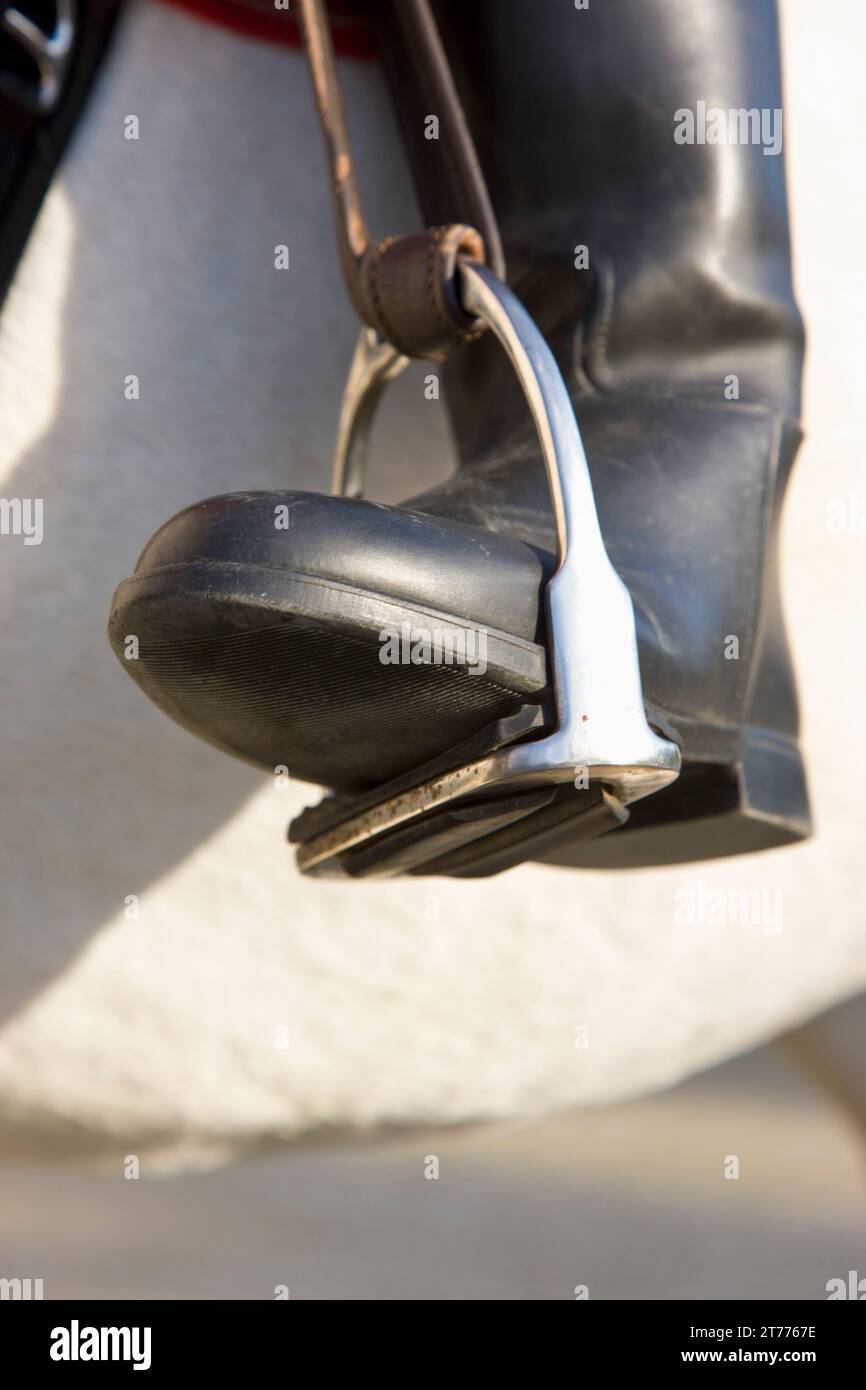Horse legs close up boots hi-res stock photography and images - Alamy