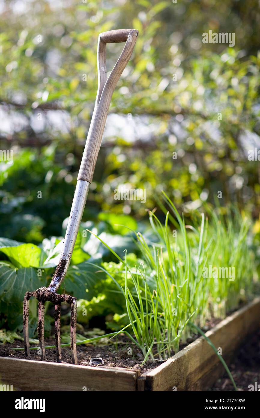 Garden bed seasons hi-res stock photography and images - Alamy