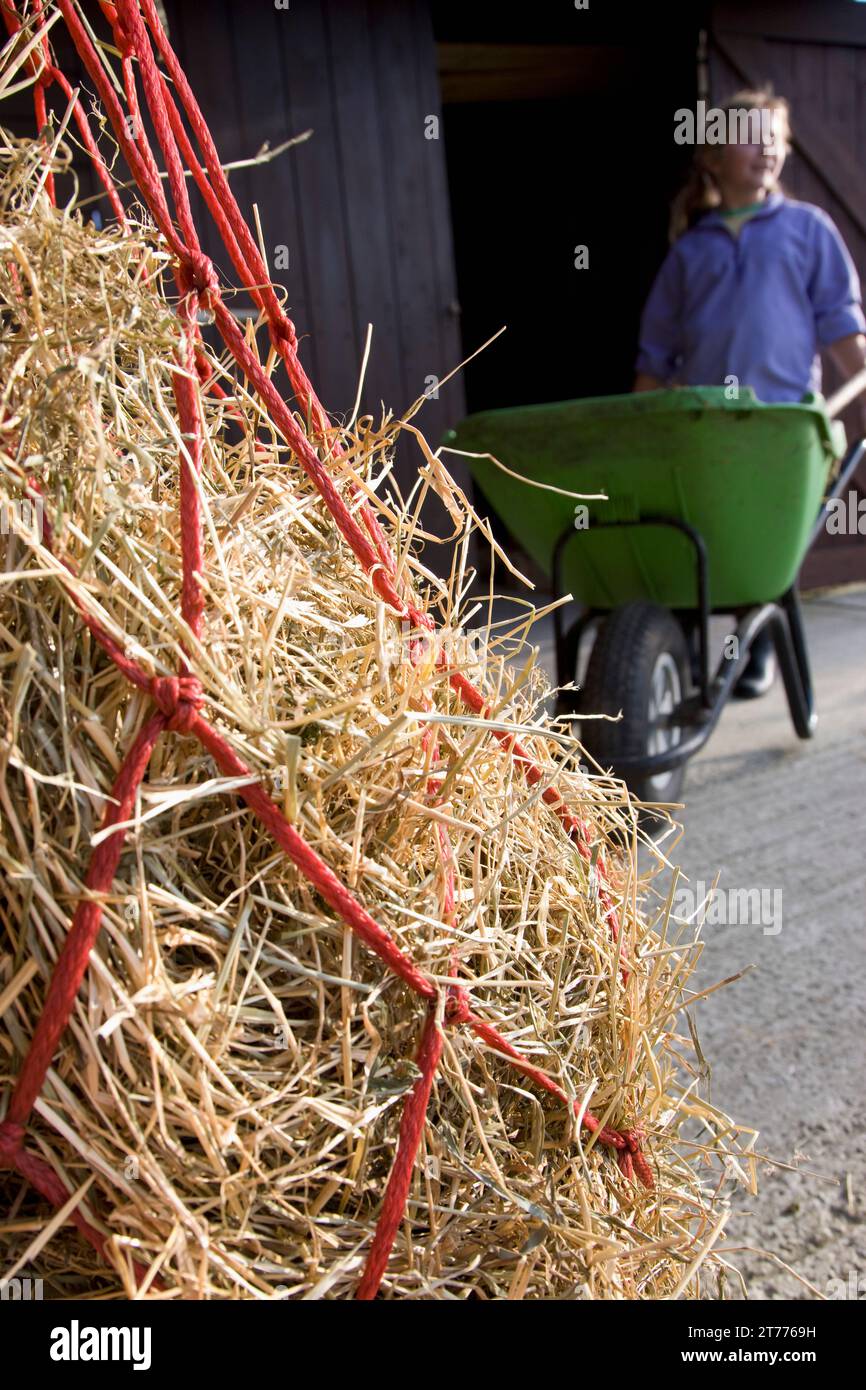 Close up of a net bag filled with hay and young girl pushing a ...