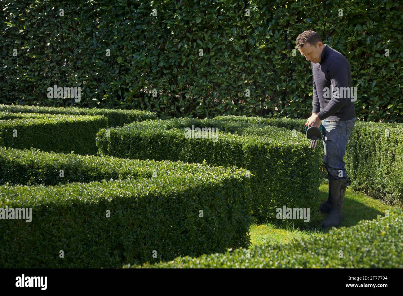 Shaping trimmer hi-res stock photography and images - Alamy