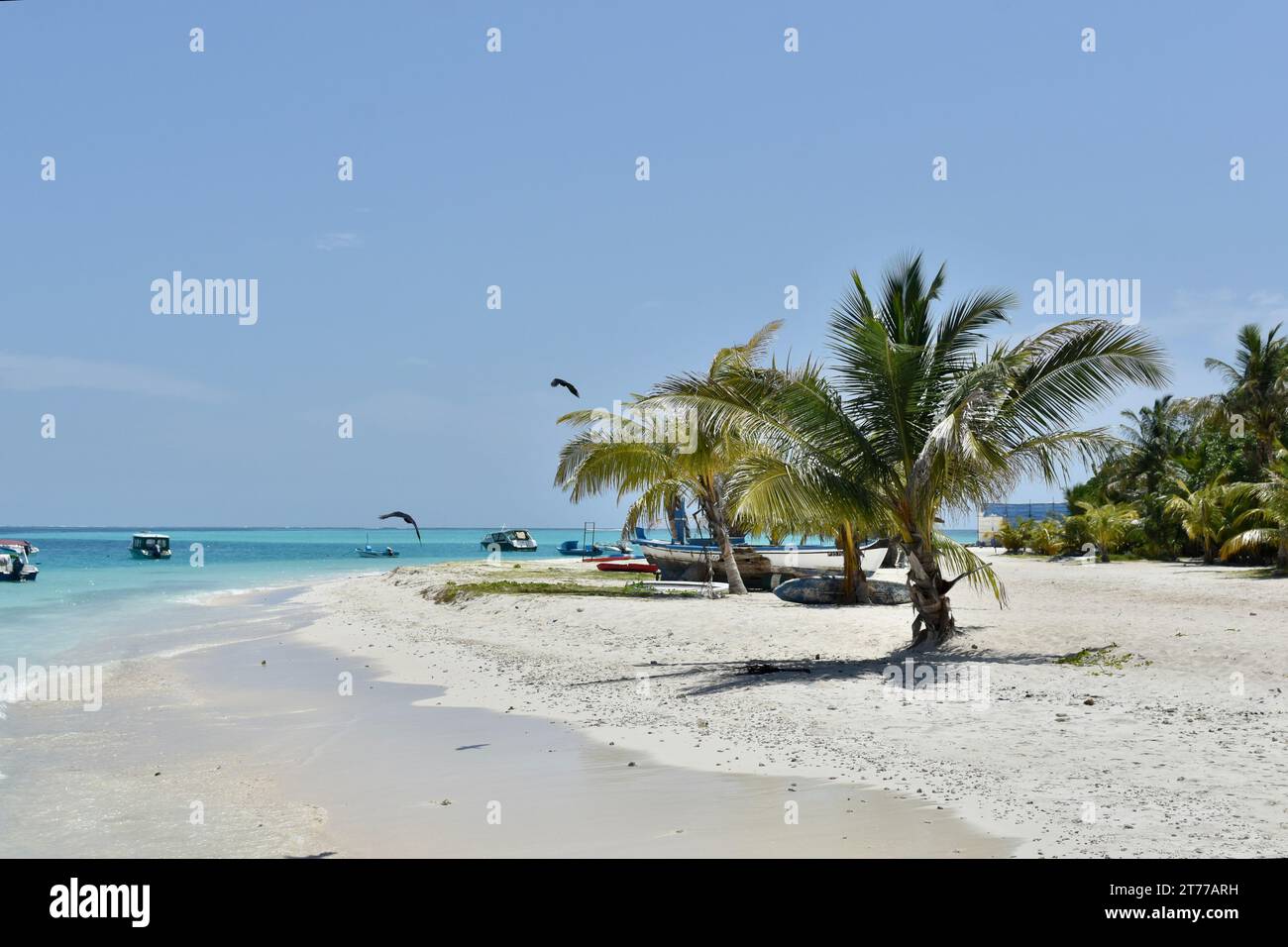 This stunning image captures a picturesque beach scene with people ...