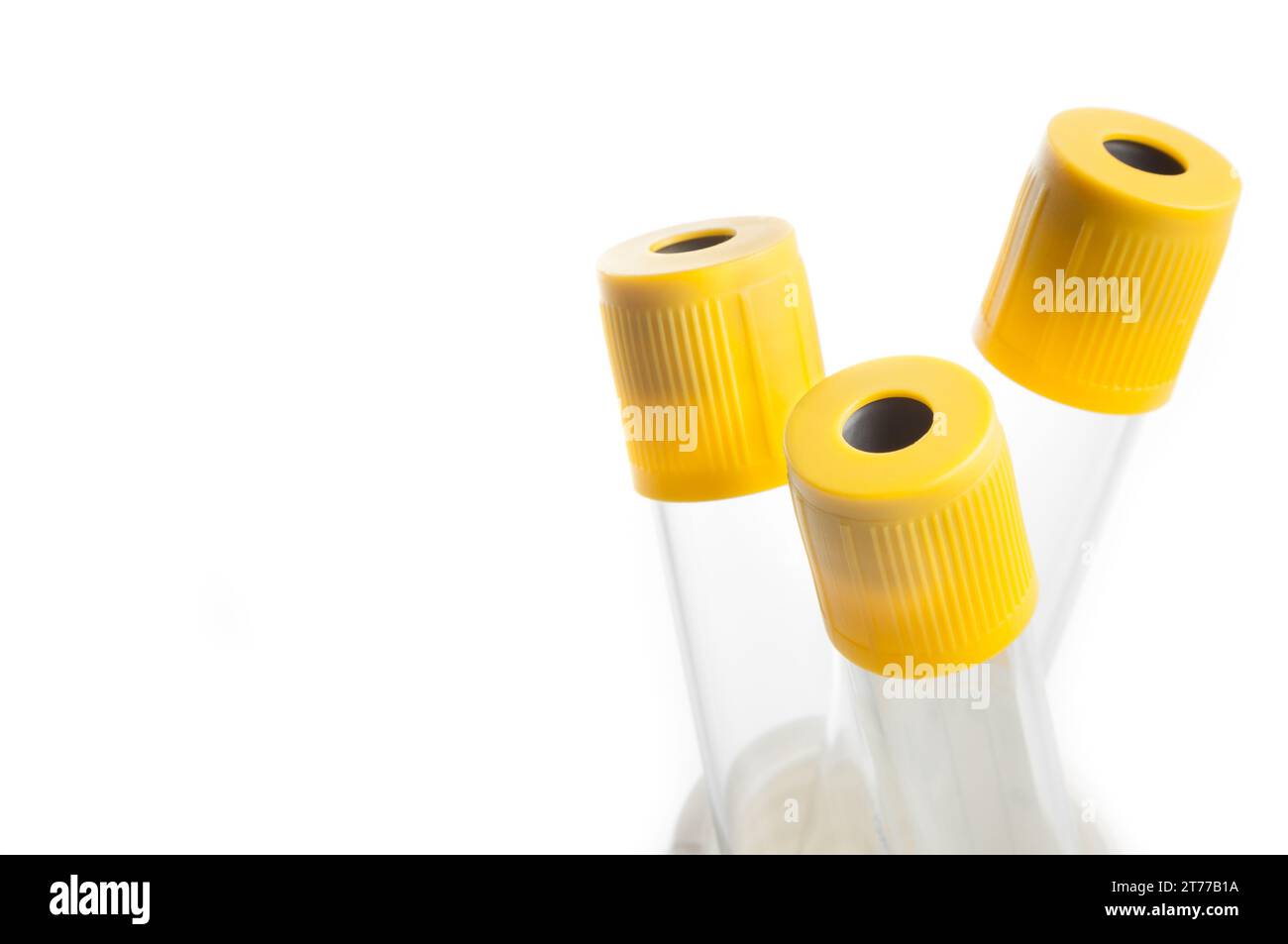 detail of test tubes in laboratory on white background with space for ...